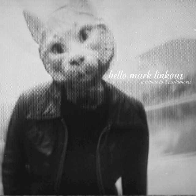 Hello Mark Linkous - A Tribute to Sparklehorse :: Fokus Musik